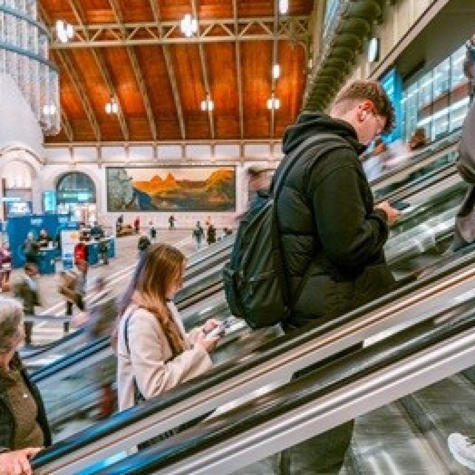 Das komplette VRN-Verbundgebiet im Blick - NahverkehrsPraxis